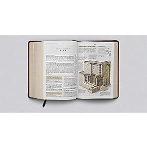 ESV Study Bible, Personal Size (TruTone, Brown)