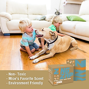 ZingZap 13-Pack Mouse & Insect Glue Traps/Board, 3X Faster Catch with Built-in Hazelnut Scent, Sticky Trap for Crawling Pests, Rats & Mice Extra Heavy & Sticky, Biodegradable