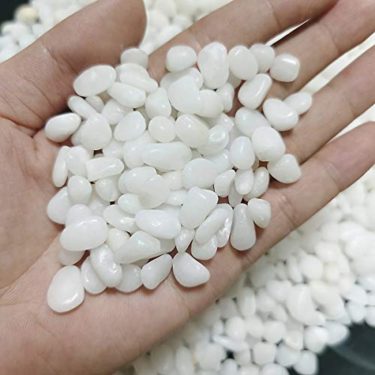 Tonmp 2 lb Natural Polished White Stones 3/8" Gravel Size Polished River Rock Pebbles for Succulents Cactus Bonsai. Decorative fillers. Aquariums and terrariums