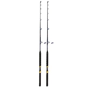 Xcaliber Marine Pair of (2) Inshore Series 6' 20-40 lb Saltwater Boat RODS (Blue and Silver)
