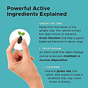 PetHonesty Hemp Calming Max Strength Chews for Dogs - All-Natural Soothing Snacks with Hemp + Valerian Root, Dog Stress & Dog Anxiousness - Helps Aid with Thunder, Fireworks, Chewing & Barking (Duck)