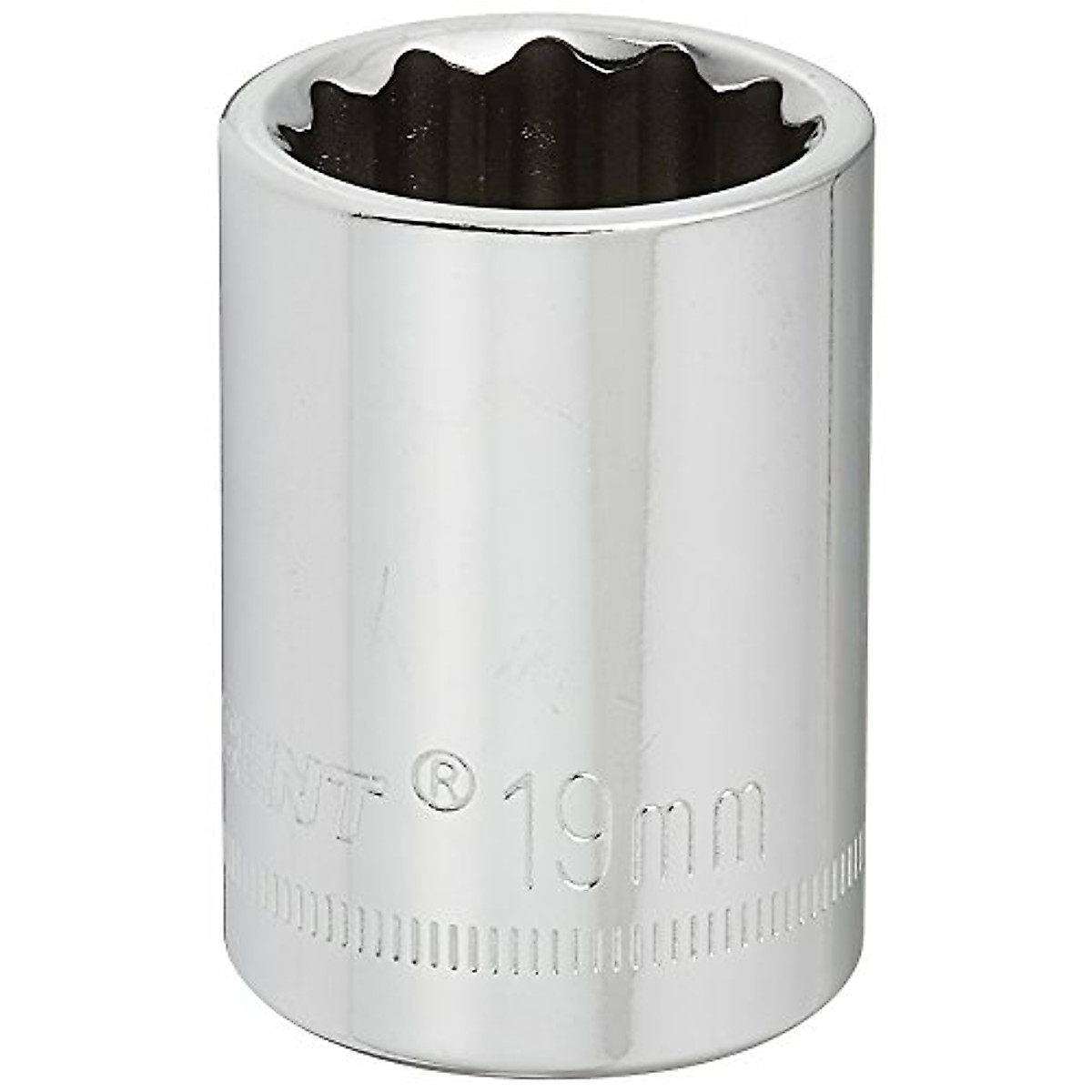 Crescent 1/2" Drive 12 Point Standard Metric Socket 19mm - CDS79N