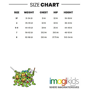 Teenage Mutant Ninja Turtles Michelangelo Raphael Leonardo Big Boys Fleece Pullover Hoodie Pants Gray/Green 14-16