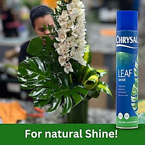 Chrysal Leaf Shine Spray for Indoor Plants (15 Ounce 1 Pack)
