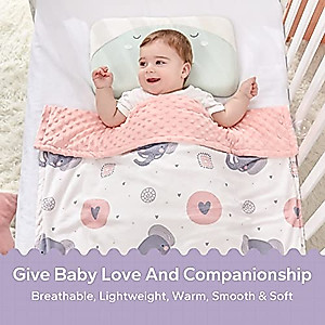 FUNUPUP Baby Blankets for Girls Boys Unisex Soft Minky Baby Blanket Double Layer Newborn Baby Receiving Blanket with Dotted Backing for Crib Stroller (30 x 40 Inch, Elephant's Love)
