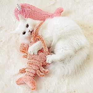 HIPIPET 2022 Ocean Series Cat Toys,Plush Flopping Lobster Cat Toy for Indoor Cats with Catnip Kitten Toys. (Lobster)