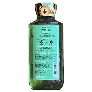 Bath and Body Works Watermelon Lemonade Gift Set Bundle with Shower Gel Soap and Loofah Pouf Sponge