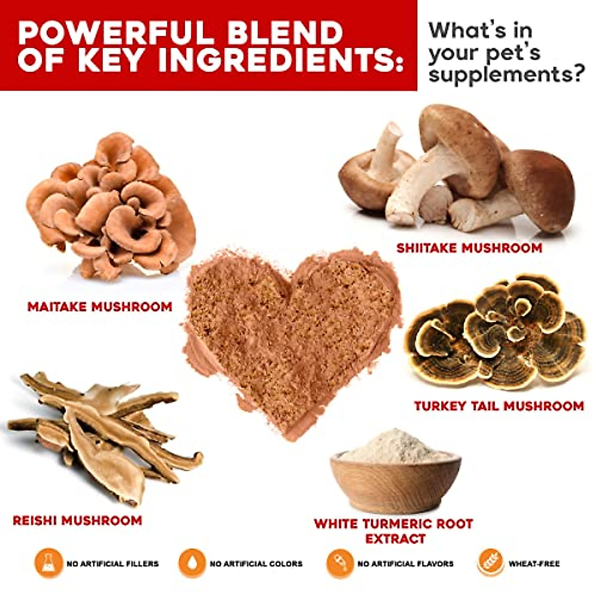 Turkey Tail Mushroom for Dogs Immune Support with Reishi, Shiitake, Maitake Mushroom and Patented White Turmeric Root Extract - Critical Immune Defense for Dogs & Cats