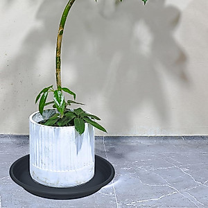 SAUCERHOME 5 Packs Plant Saucer 6 8 10 12 14 16 19 22 26 Inch Plastic Pot Tray Flower Planter Saucers and Drip Trays for Indoors Outdoors, Thick Heavy Sturdy Plant Plate Water Catcher (6 Inch Black)