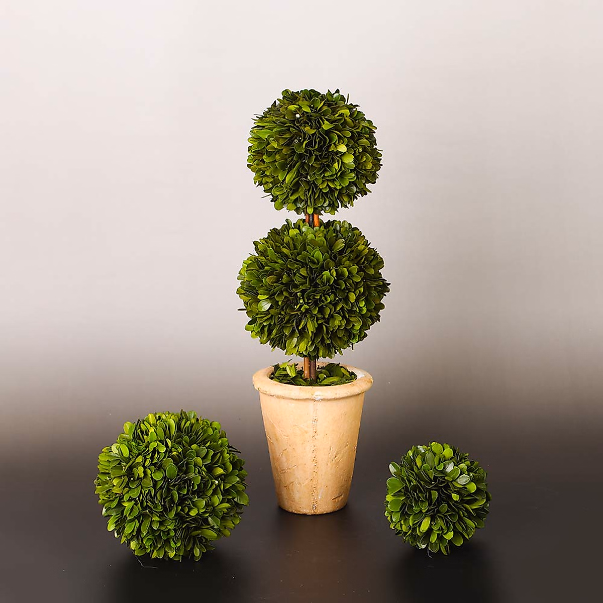 Boxwood VALLEY Real Preserved Boxwood Evergreen Potted Tree Globe Tree Topiary in Terracotta Planter, Home Decor Farmhouse (Double Balls Topiary, 20 inches)