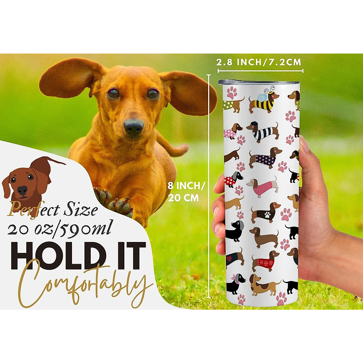 Onebttl Dachshund Gifts, Dachshund 5D Seamless Pattern, Gifts for Wiener Dog Lovers, Women, Girls, Friends, Daughters, Coworkers, Stainless Steel Tumbler 20Oz, White