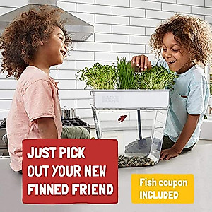 Back to the Roots Indoor Aquaponic Garden and Fishtank - 3 Gallon Self Watering, Mess-Free Planter and Self-Cleaning Fishtank for Herbs, Microgreens, Bamboo, Succulents, and Houseplants, support Fish