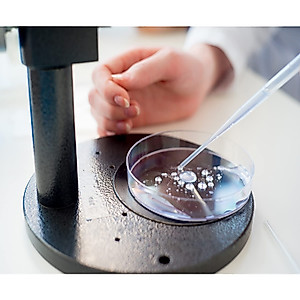 20 Pack Plastic Petri Dishes with Lids, 90 x 15mm Bioresearch Sterile Petri Dish, Culture Dishes for School Science Projects, Seeding, Storage, Biological Themed Party