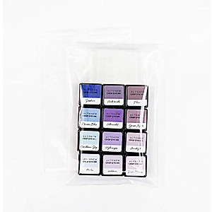 Altenew Medium Plastic Storage Pouches, Luscious, Thick, Zipper Included, Crafter's Organizing Supplies, 25 Count