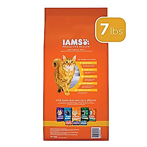 IAMS PROACTIVE HEALTH Adult Healthy Dry Cat Food with Chicken Cat Kibble, 7 lb. Bag