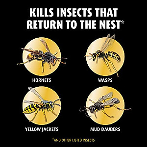 Ortho Home Defense Hornet & Wasp Killer7