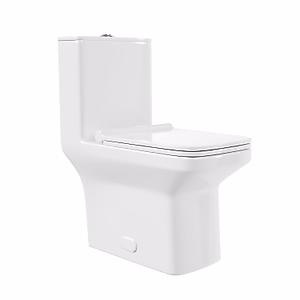 One Piece Toilet, DeerValley DV-1F0071 Modern Elongated Toilet Power Dual Flush 1.1/1.6 GPF Toilet for Bathroom 12" Rough in Rectangular Bowl, 1000g MaP