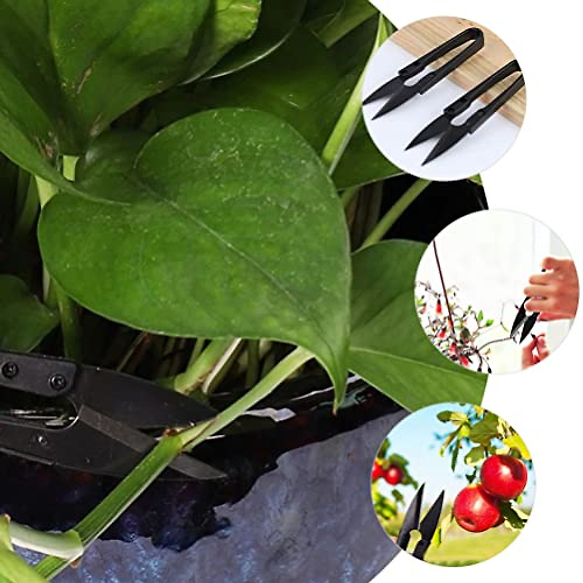 Yardwe 12pcs Bonsai Trimmer Tools Trimming Shears Professional Bonsai Pruning Tool Garden Bonsai Shears Leaves Scissors Pruning Scissor Trimmer Tool Small High-Carbon Steel Pruning Shears