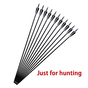 FENJANER Archery 30inch Carbon Arrow Spine 500 Practice Hunting Arrows with Removable Tips for Compound Bow and Recurve Bow (Pack of 12) (7.8mm-black)
