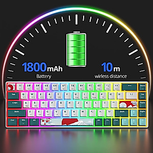 Fogruaden Hot Swappable 60% Wireless Mechanical Gaming Keyboard 60 Percent, 2.4G/USB-C/Bluetooth Keyboard, RGB Backlit, 68 Keys NKRO Compact Mini Keyboard for Win/Mac(Gateron Yellow Switch, Forest)
