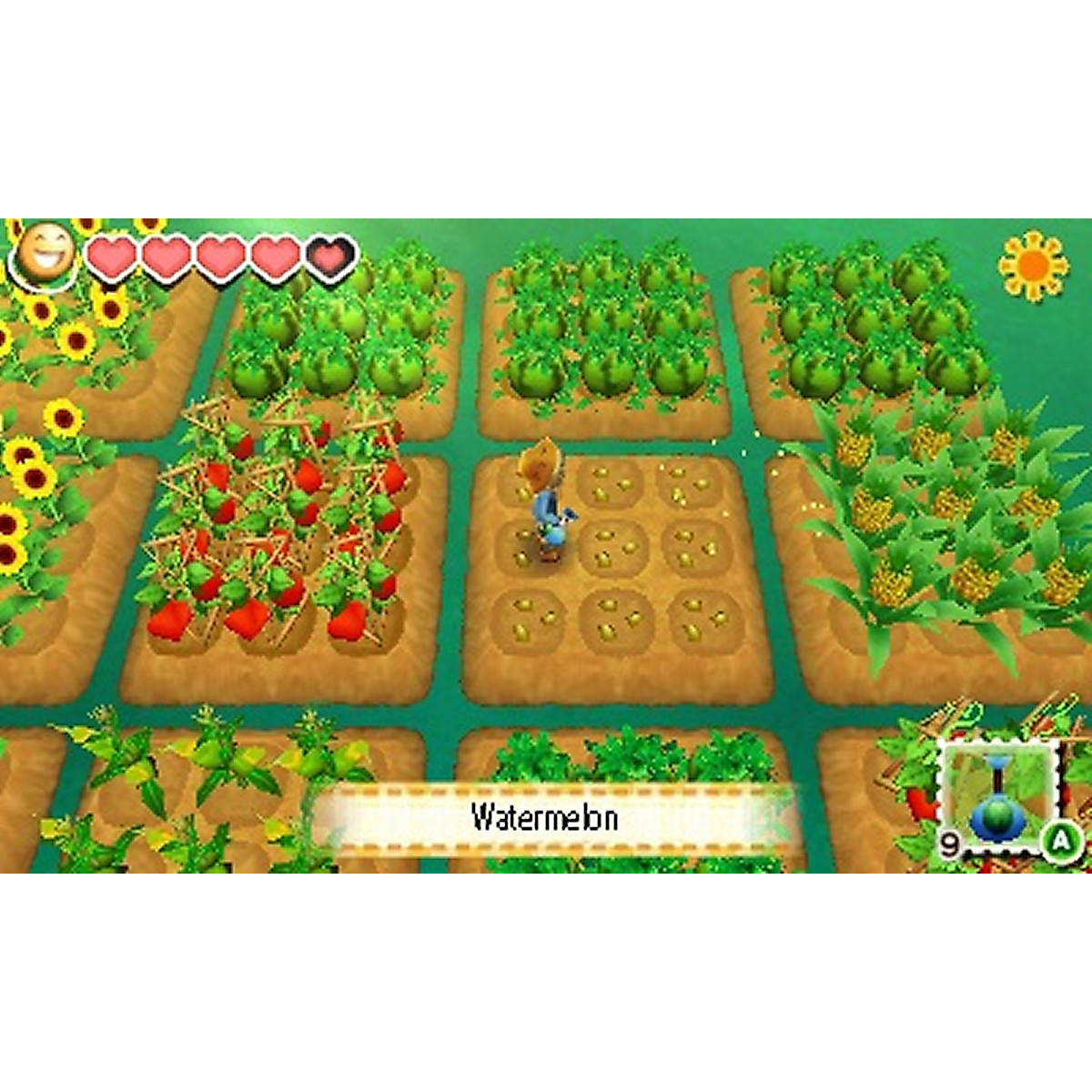 Story of Seasons (Nintendo 3DS)