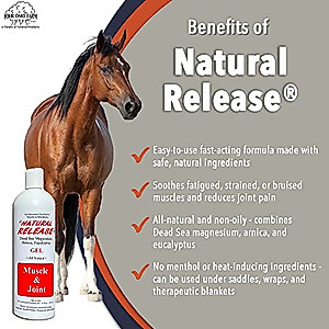 Four Oaks Farm Ventures, Natural Release Muscle Gel Treatment - Horse Liniment for Sore Muscles, Joint Pain, Tendon & Inflammation Relief - Easy to Use, Fast Acting, Alcohol & Menthol Free (16 oz)