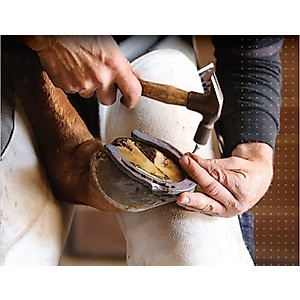 Mustad Hoofcare Farrier Nailing Hammer 13oz