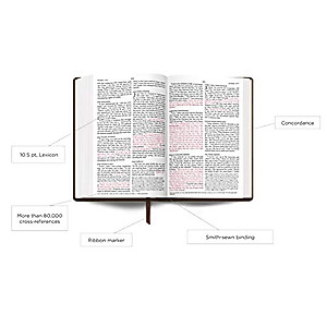 ESV Large Print Thinline Reference Bible (Brown)