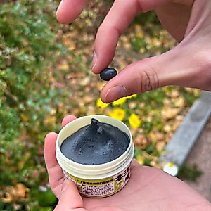 Kiyonal Bonsai Cut Paste 135g (Putty Type), Tree Pruning Sealer for Bonsai, Gardening, Grafting, Made in Japan, Gray