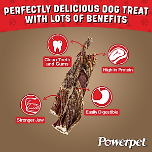 Powerpet Treats Beef Jerky Twists - 100% Natural Dog Chews - High Protein, Low Fat - Made from Premium Beef Esophagus - Promotes Dental Health - Long-Lasting Treats - Great for All Breeds - Pack of 12