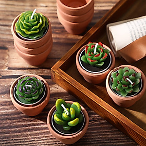 6 Pcs Succulent Candles Decorative Cactus Tealight Candle Novelty Tea Lights Handmade Baby Shower Candle Decorations Stylish Plant Candle with Mini Terracotta Clay Candle Holders for Birthday Wedding