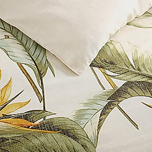 Tommy Bahama - Queen Comforter Set, Reversible Cotton Bedding with Matching Shams & Bonus Throw Pillows, All Season Home Decor (Birds of Paradise Off-White, Queen)