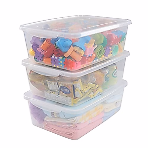 Neadas 16 L Clear Plastic Storage Bin with Lid, 6 Packs