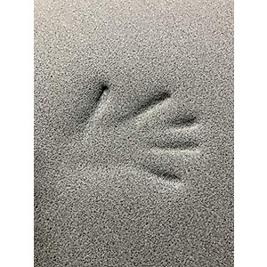 Travel Happy New Item 10 inch Short King (72 x75) Plush New Cooler Sleep Graphite Gel Memory Foam Mattress with Premium Textured 8-Way Stretch Cover Made in The USA (Short King)