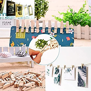 Clothes Dryer Clips,50pcs Mini Wooden Clothespins for Crafts,Small Clothes Pins for Quilting/Photo,Wooden Close Pins for Laundry and Stockings（4.5 cm/1.77inch） (50)