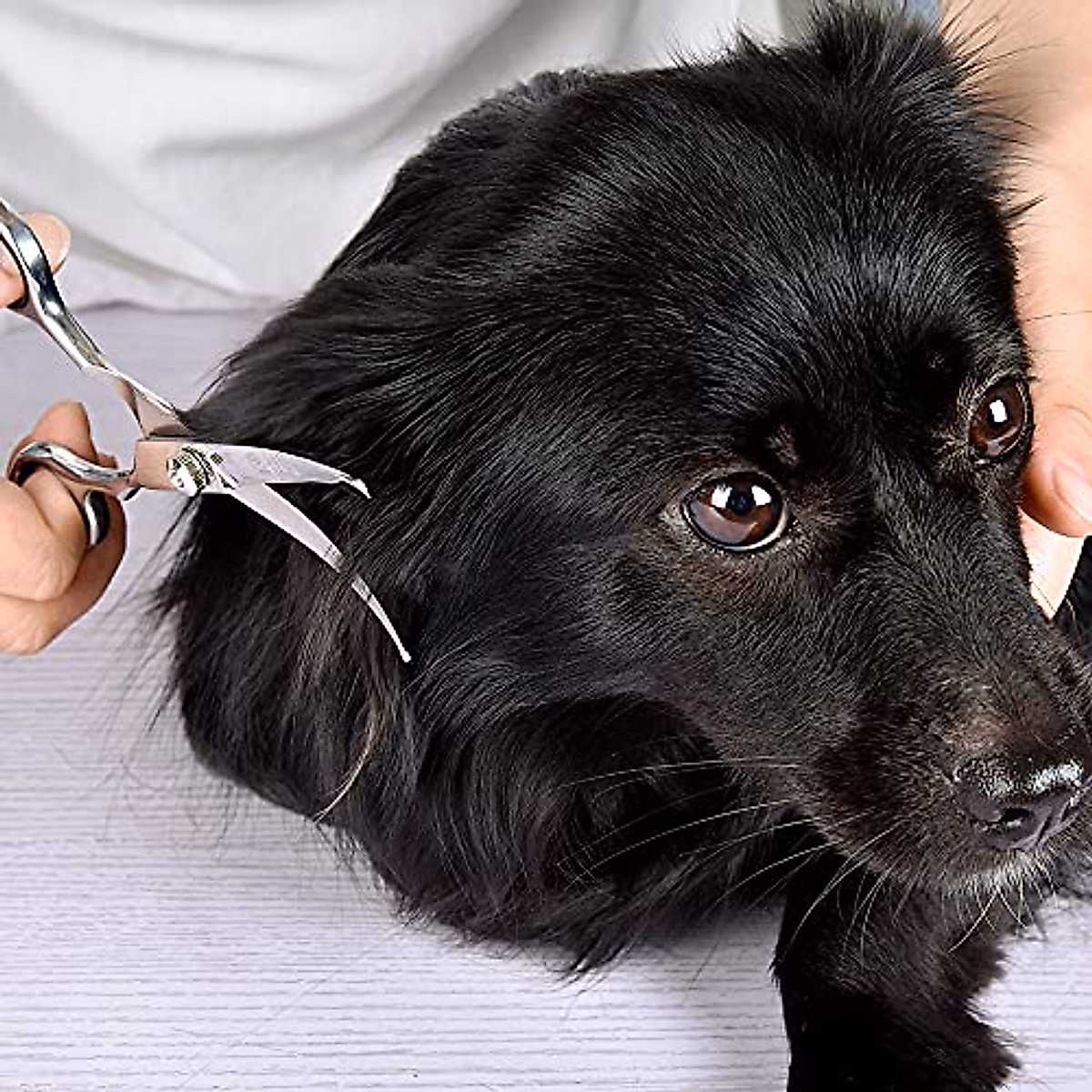 Chibuy Curved dog grooming scissors with Round Tips, Pet Curved Shear for Dogs and Cats, 4CR Stainless Steel pets Bending scissors, Professional Pet Grooming Tools for Home