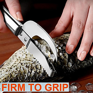 HANCOME 2 Pcs Fish Scaler Remover, 2-in Fish Maw Knife Stainless Steel Sawtooth Fish Skinner Descaler Tool Fish Scales Skin Removing Peeling for Kitchen Tool