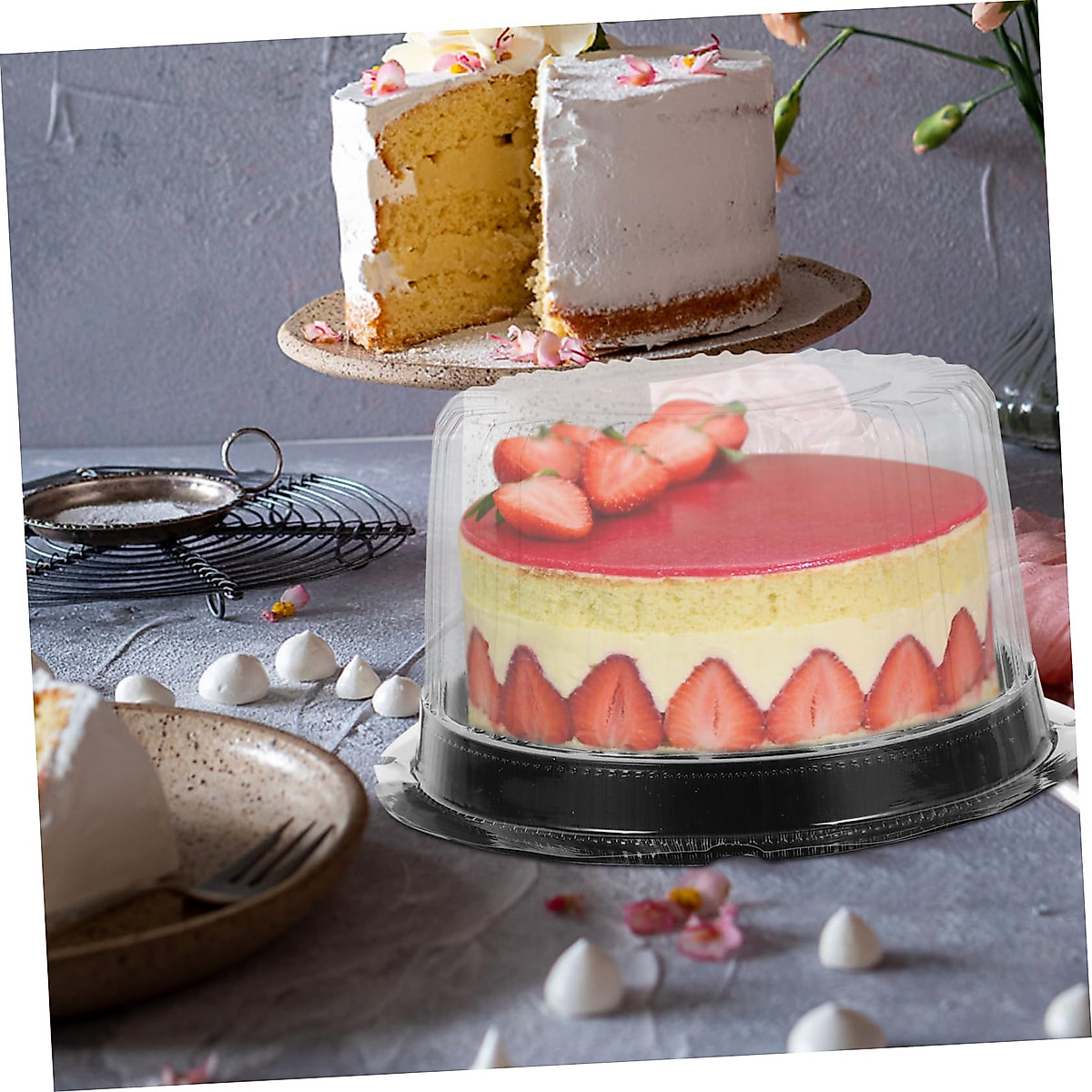 Abaodam 10pcs Packing Box Cake Box Clear Cake Holder Portable Cake Carrier Cake Container Cake Boxes Round Cake Holder Birthday Cake Holder Cake Packing Holder Clear Cake Carrier