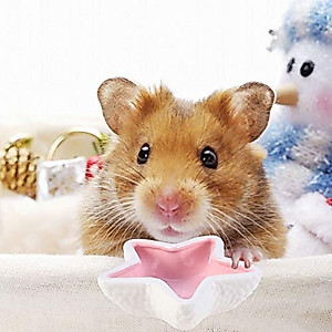 POPETPOP Pet Feeding Bowl Ceramic Feeding Bowl for Hamster Small Pet (Pink)