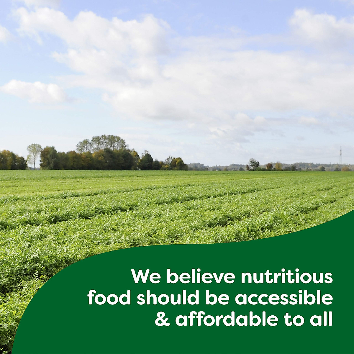 Knorr Soup Mix and Recipe Mix For Soups, Sauces and Simple Meals Leek No Artificial Flavors 1.8 oz, Pack of 12