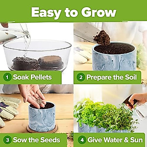 4 Herb Garden Starter Kit Indoor: Complete Grow Kit w/Deluxe Ceramic Pots & Soil - DIY Herb Seeds to Plant, Window Garden Home Growing Kit - Best Plant Gifts for Women, Unique Gifts for Cooks