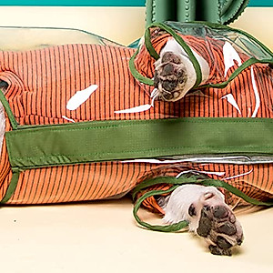 Dog Raincoat Dog Clothes Waterproof Clothing Transparent Rain Jacket Small Medium Large Dogs Clothes Outdoor Pet Jacket