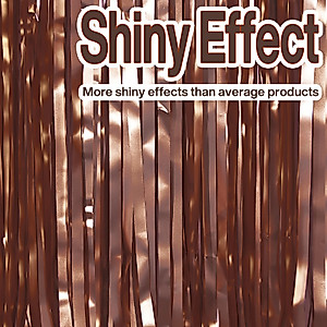 PartyWoo Foil Curtain 2 pcs, 3.3x6.6 ft Metallic Brown Tinsel Curtains, Backdrop Curtain, Foil Fringe Curtains, String Curtain, Birthday Decorations, Party Backdrop, Wedding Backdrop
