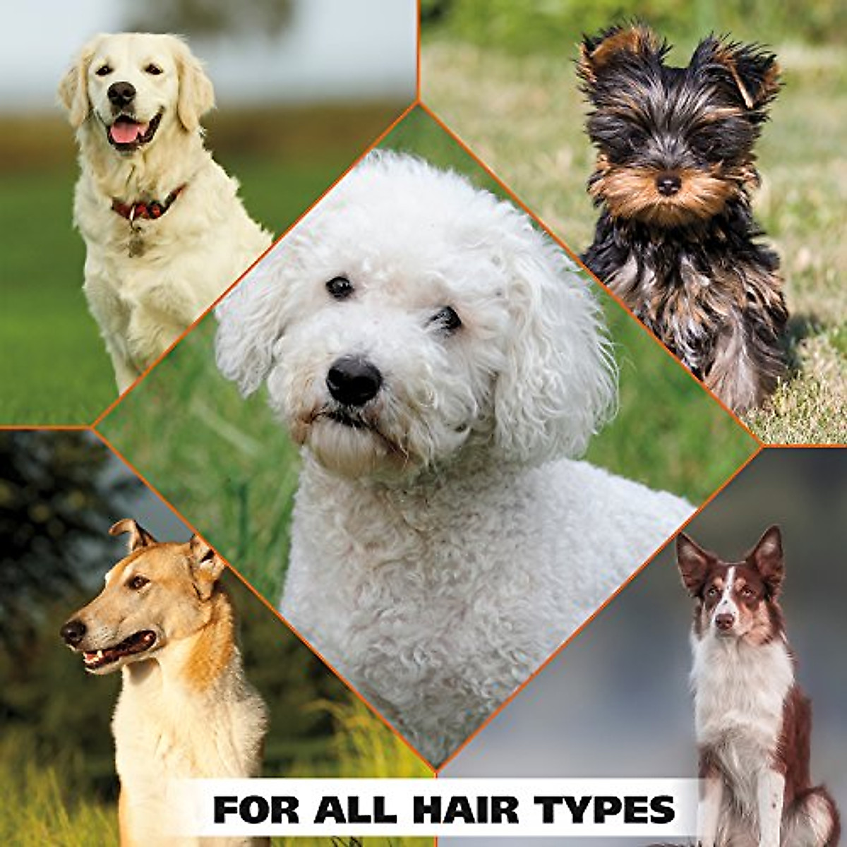 Wahl Pet Refresh Lavender Cleaning Wipes for All Dog Breeds - Use on Ears, Nose, Paws, Bottom, & Sensitive Areas - 50 Wipes - 820018A