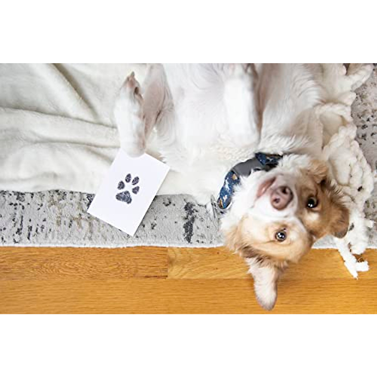 Pearhead Pet Clean-Touch Ink Pad, Medium/Large, Black Ink Pad for Cats or Dogs, Pet Owner, Pet Owner Must Have Item, Pet Memory Keepsake, for Medium to Large Pets