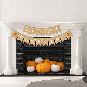 Jute Burlap Little Pumpkins Banner Fall Twins Baby Shower Gender Reveal Party Garland Decoration
