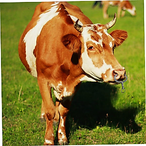 Yardwe 3pcs Spring Loaded Bull Nose Ring Stainless Steel Nose Ring Cattle Pliers Ring Farm Animal Pulling Tool Cow Nose Piercing Traction Nose Rings Cattle Traction Ring Livestock Supply