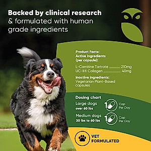Rooted Owl Joint and Muscle Health - Hip and Joint Supplement for Dogs with UC-II Type II Collagen and L-Carnitine - Medium and Large Dog Joint Supplement - 30/ct
