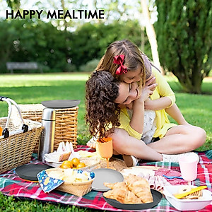 PYRMONT Dinner Plates Set of 8 Unbreakable Wheat Straw Plates 10-inch Large Plates Plastic Plates Reusable Dishwasher and Microwave Safe Unbreakable Plates for Kids (Grey Stone)