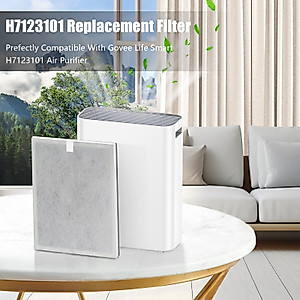 2-pack H7123101/H211/H211S Replacement Filter, Compatible with Govee life H712301 and Homvana H211/H211S Air Purifiers, 4-Stage Filtration, True HEPA H13 Filter+Actitvated Carbon Filter